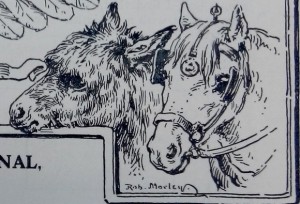 "Light in Dark Places: Anti-Vivisection from the Victorian Era to ...