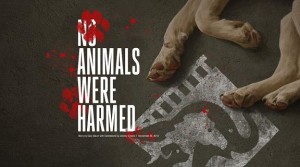 Remembering Unnamed Horses and Los Angeles Animal Activists - HappyCow