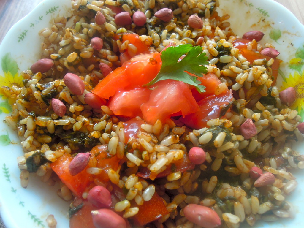 Low Budget Vegan In Mongolia - HappyCow