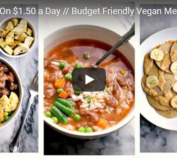 The Veggie Blog - Latest News & Articles of Interest to Vegans and ...