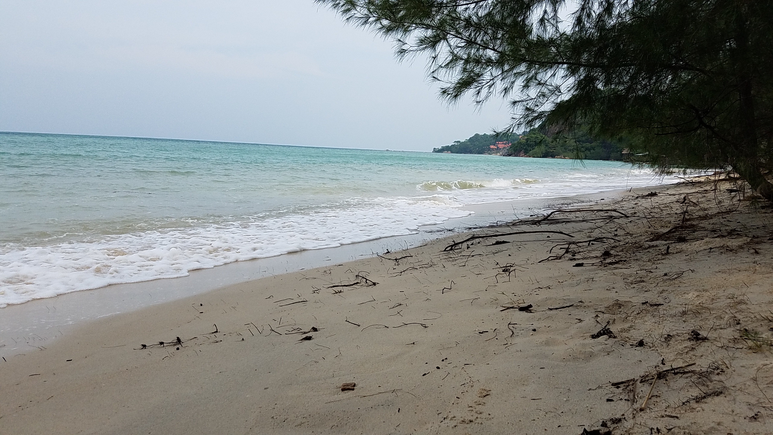 20180114_102457 - HappyCow