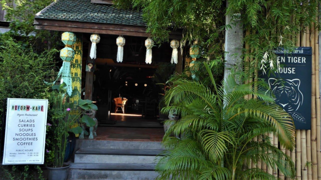 Green Tiger In Chiang Mai, Thailand - HappyCow
