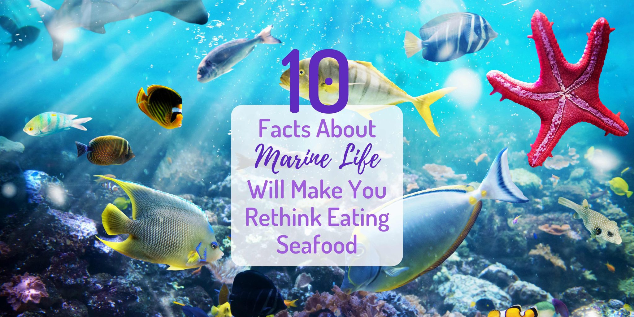 Facts-About-Marine-Life-Rethink-Eating-Seafood - HappyCow