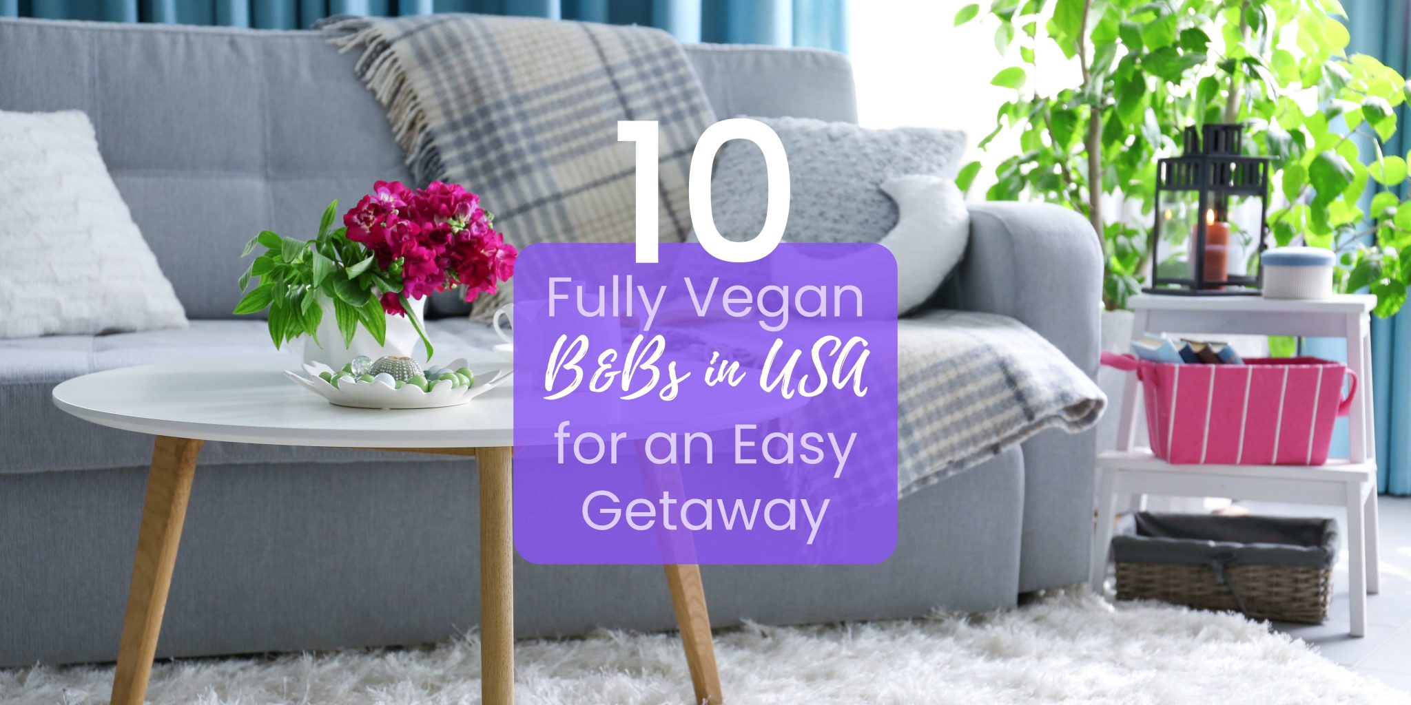 10 Fully Vegan B&Bs in the USA for an Easy Getaway