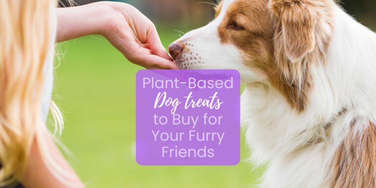 Plant-Based Dog Treats to Buy for Your Furry Friends