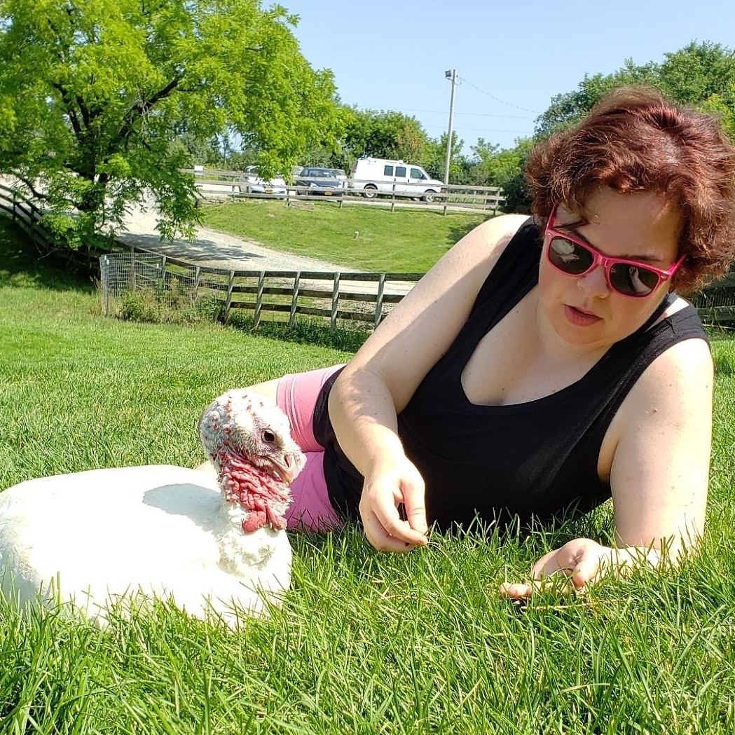 10 Farm Sanctuaries You Should Know About